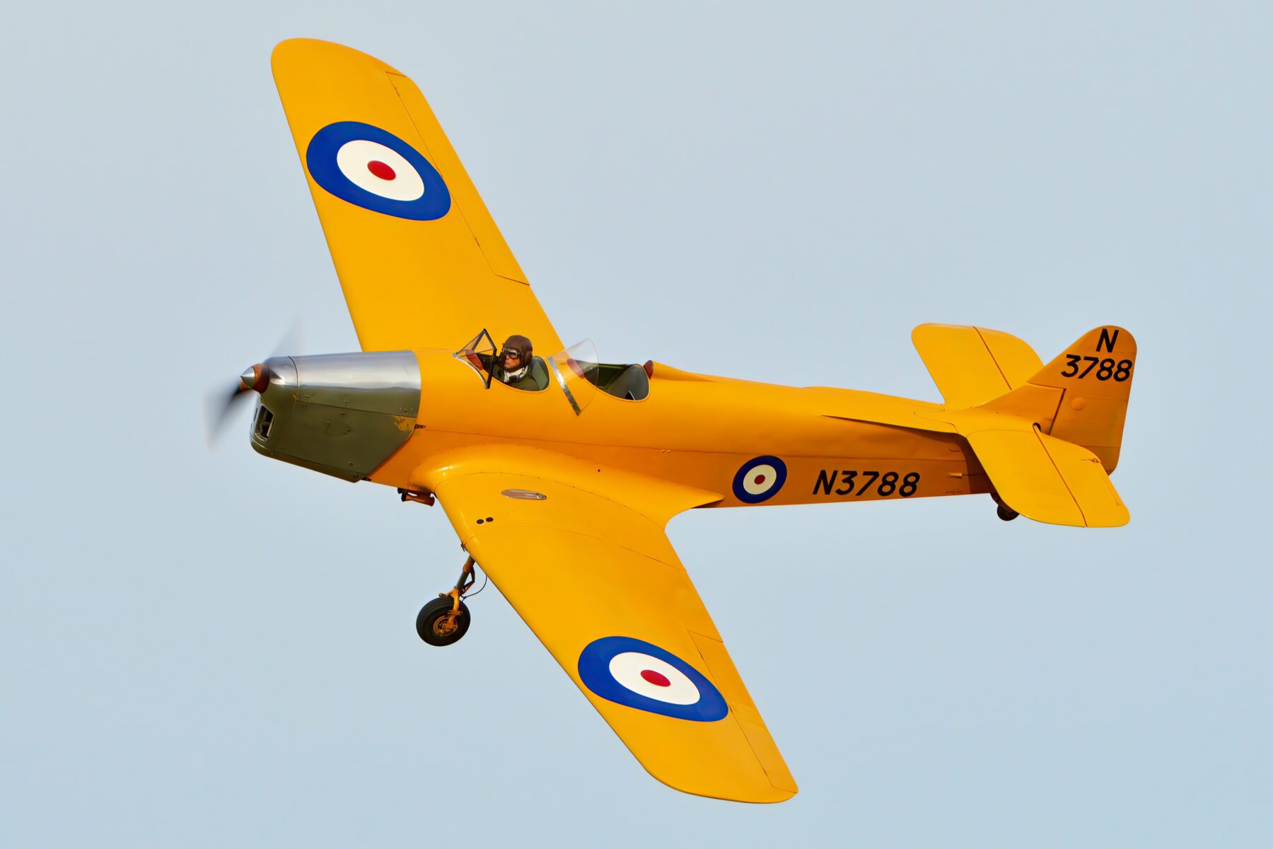 Meet Maggie: The Iconic Miles Magister - Jets ’n’ Props