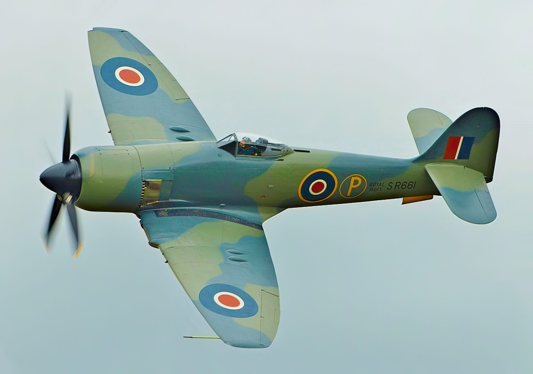 The Sea Fury: Defying the Jet Revolution - Jets ’n’ Props