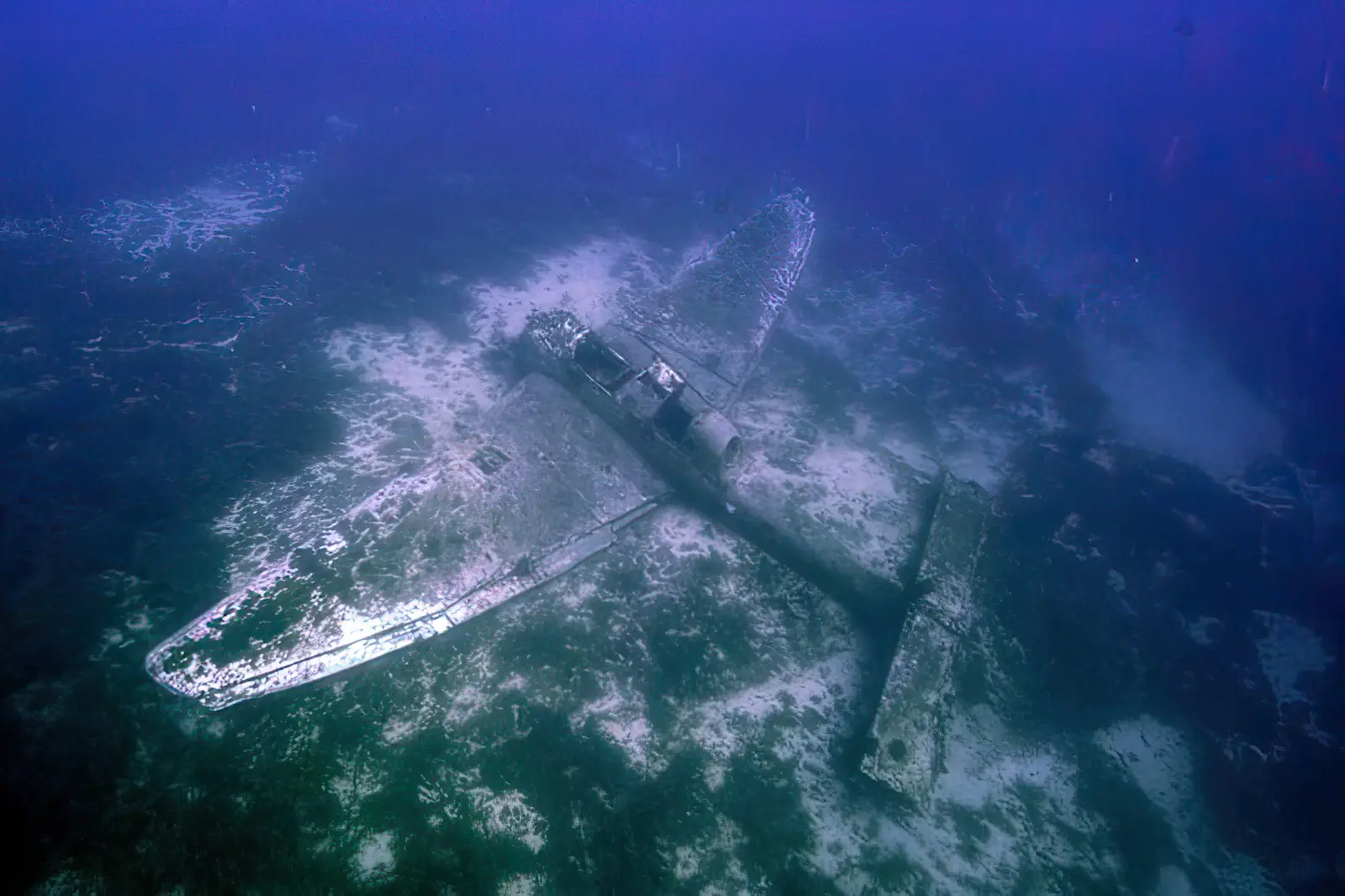 Stuka found 70 years after its last dive: Rare German WW2 bomber ...
