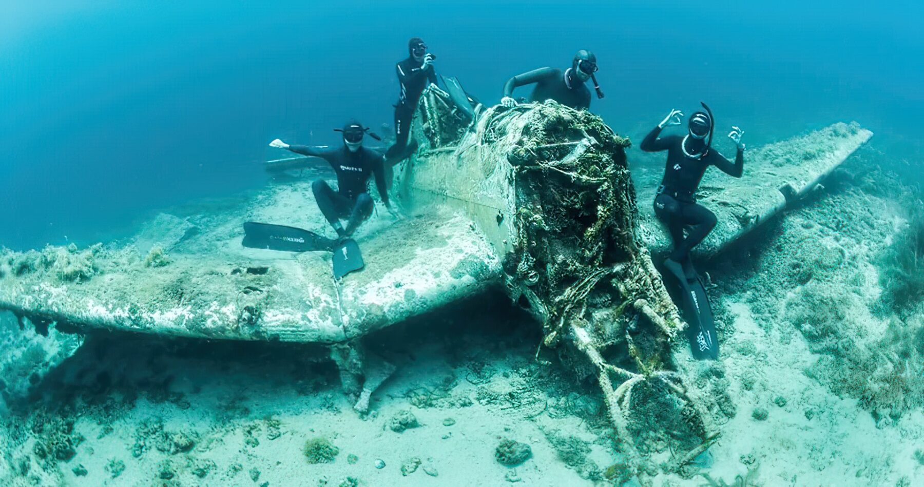 Stuka found 70 years after its last dive: Rare German WW2 bomber ...